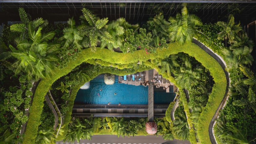 Pan Pacific DISCOVERY Platinum status for AMEX Platinum Charge